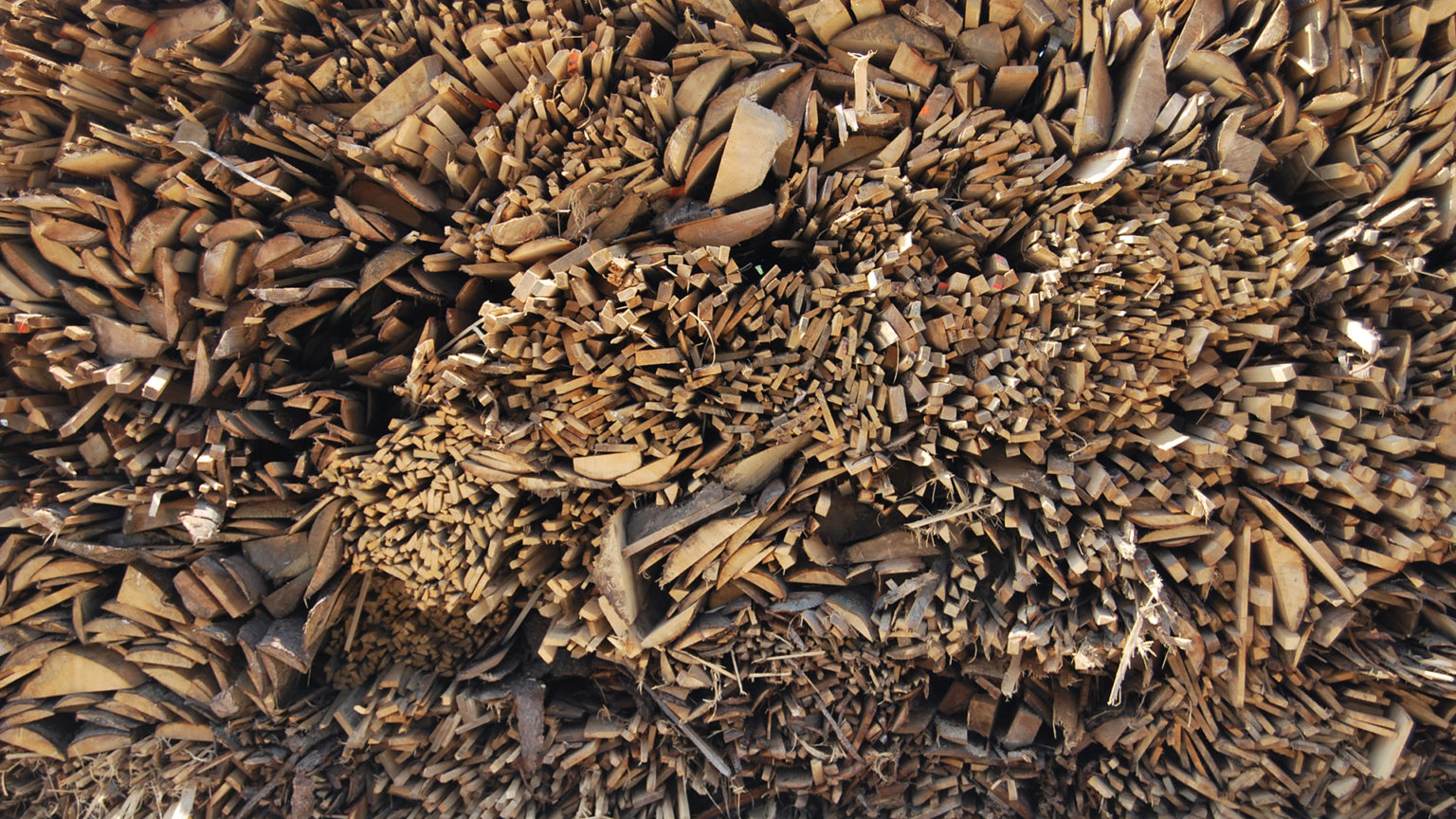 Lightweight particle board, made of poplar timber - Walter Aresca