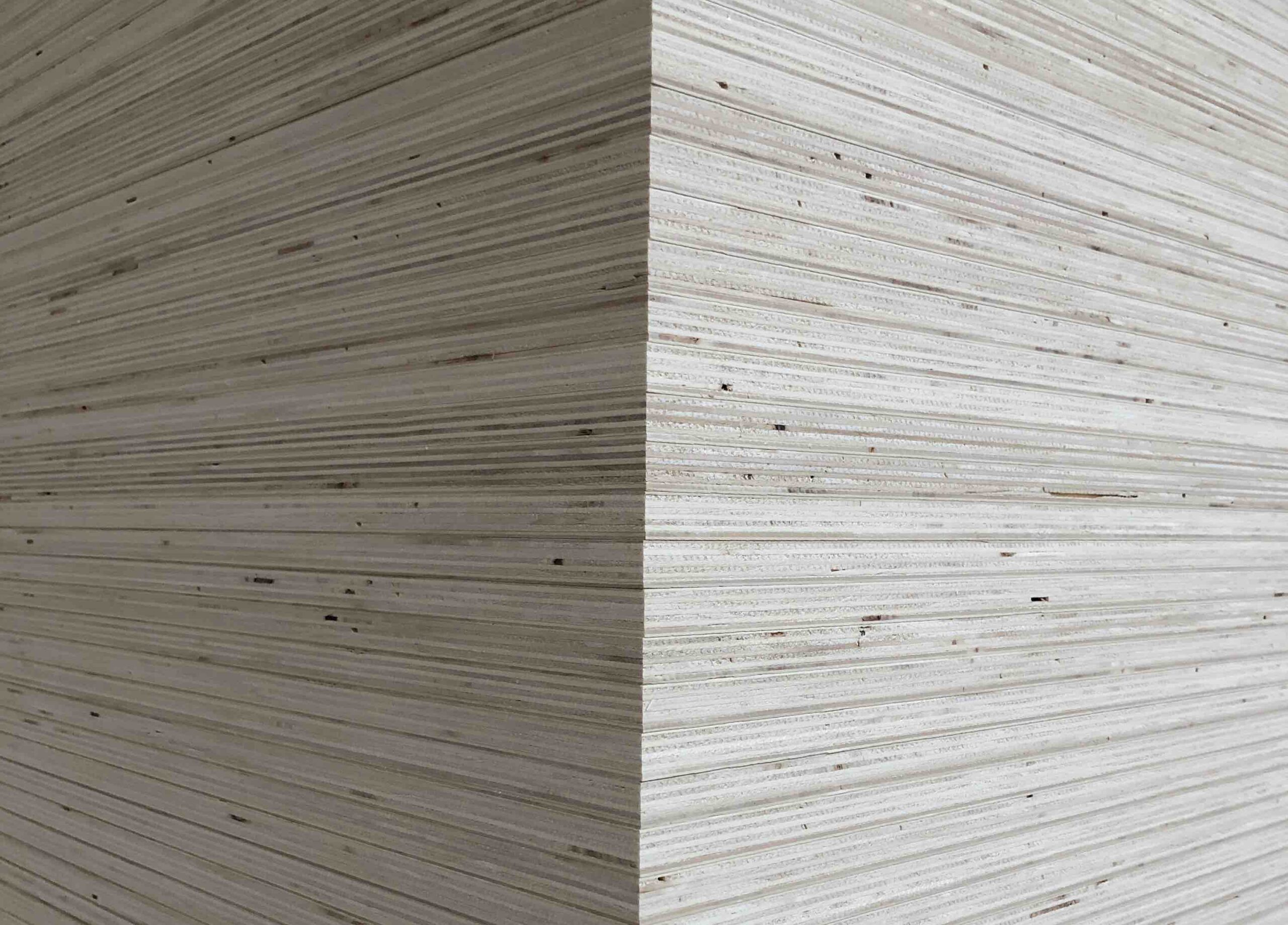 Jumbo plywood, the oversize poplar plywood - Walter Aresca